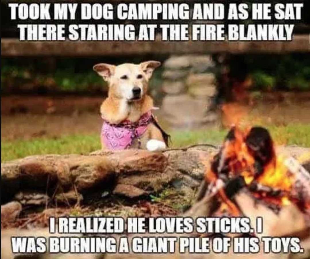 35 Funny Camping Memes That Make Us Laugh Out Loud - Peanuts or Pretzels