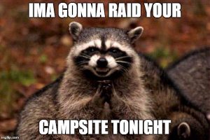 35 Funny Camping Memes That Make Us Laugh Out Loud - Peanuts or Pretzels